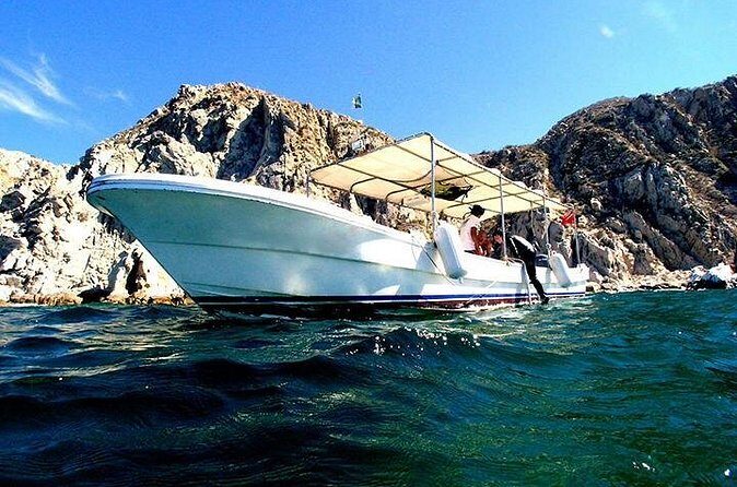 Private Tour: Sightseeing Cruise in Cabo San Lucas - What Makes This Experience Valuable?