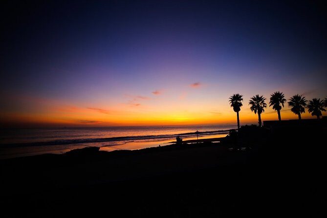 Private Tour Sintra from Lisbon Palaces of Pena and Regaleira - Key Points