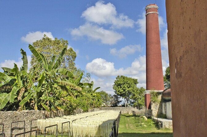 Private Tour: Sotuta de Peon Hacieda Day Trip - Key Points