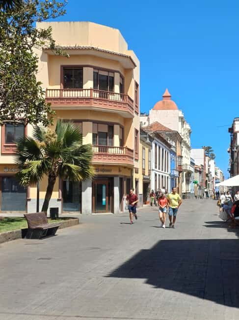 Private Tour Tenerife: Anaga, Taganana, Benijo & La laguna - Key Points