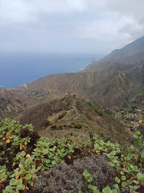Private Tour Tenerife: Anaga, Taganana, Benijo & La laguna - Who Would Love This Tour?