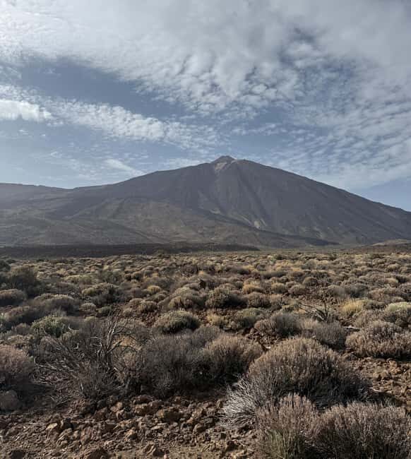Private tour Tenerife: Teide National Park + Restaurant - In-Depth Look at the Itinerary
