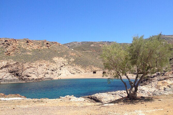 Private Tour: The Best of Mykonos (no walking) - Final Thoughts: Is It Worth It?