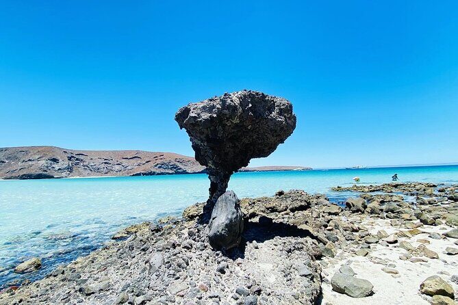 Private Tour to Balandra, La Paz and Todo Santos - Who Is This Tour Best For?