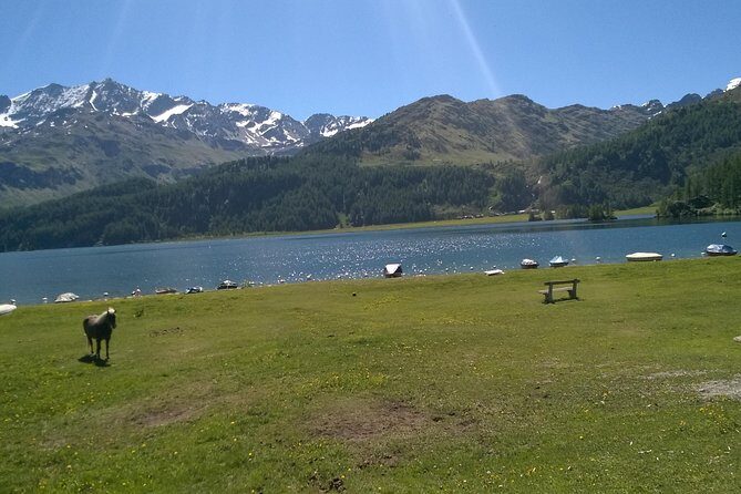 Private tour to Bernina train & Lake Como. Hotel pick-up - Practical Details: What You Should Know