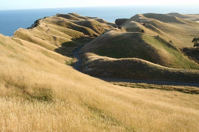 Private tour to Cape Kidnappers Gannet Colony - Final Thoughts