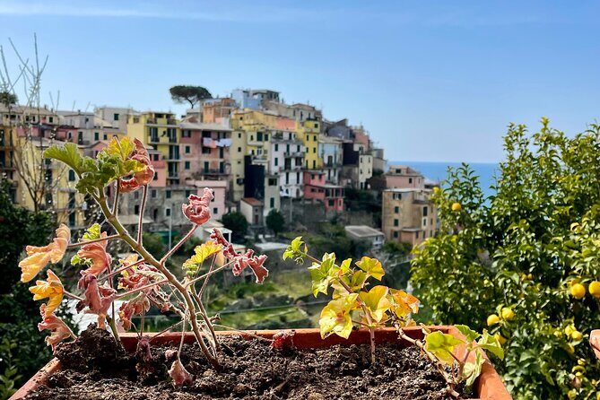 Private tour to Cinque Terre - FAQ