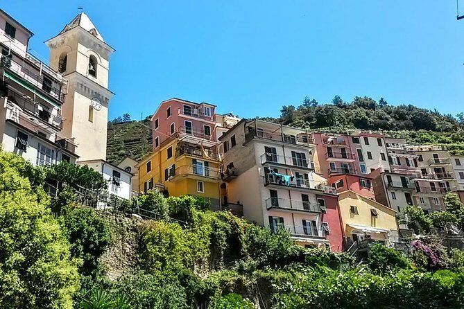 Private Tour to Cinque Terre from Florence - Who Is This Tour Best For?