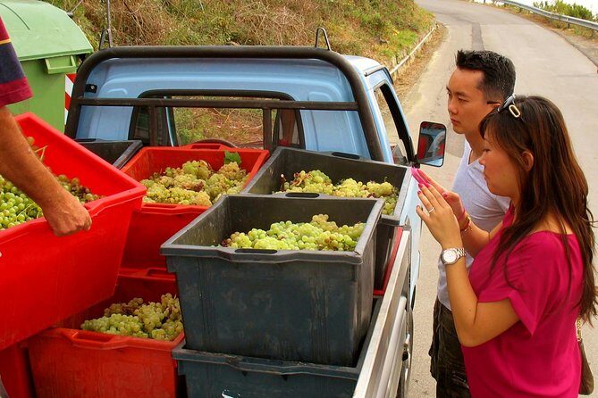 Private Tour to Cinque Terre from Florence - Final Thoughts