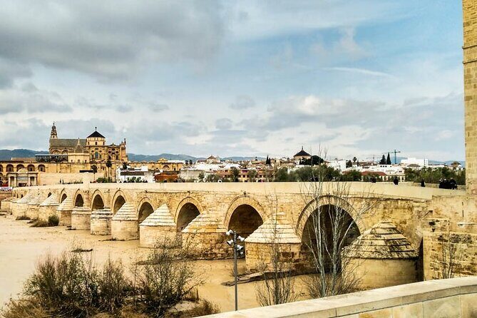 Private tour to Cordoba from Seville (several options) - Exploring Córdoba: A Private Day Tour from Seville