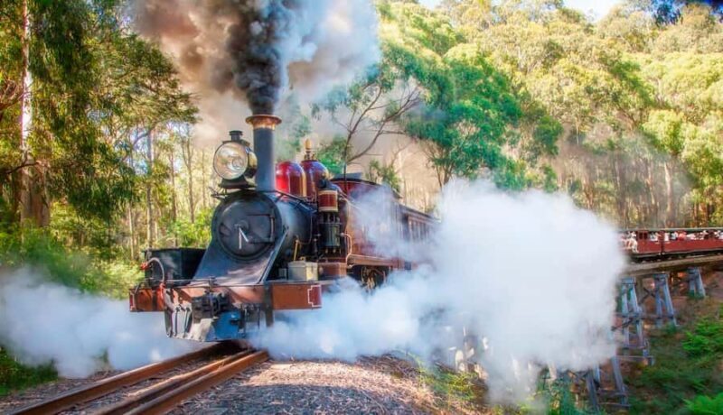 Private Tour to Dandenong Ranges & Puffing Billy Steam Train - Practical Details & What to Expect