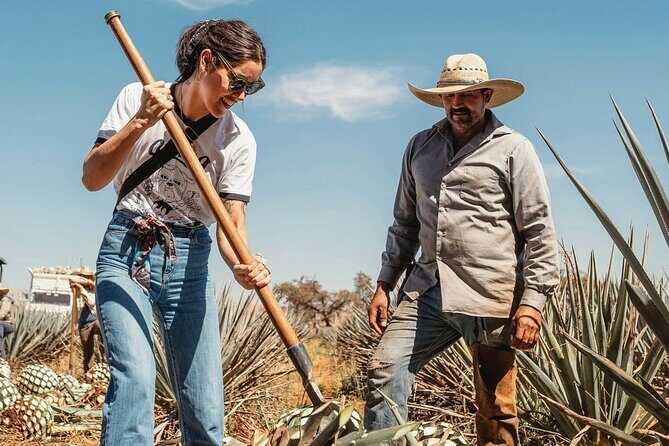 Private Tour to Distillery Tequila Ocho and Arandas - Introduction