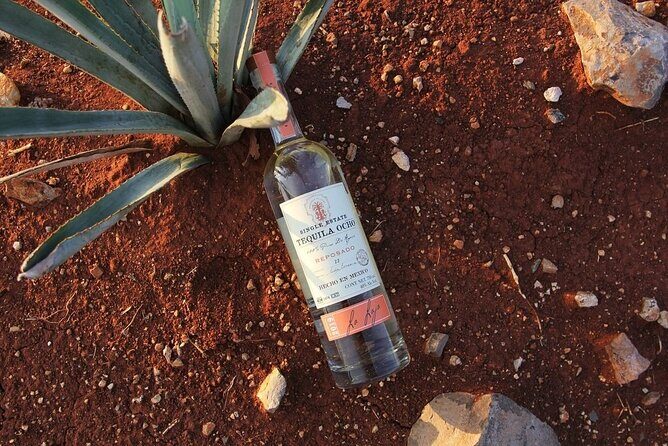 Private Tour to Distillery Tequila Ocho and Arandas - Final thoughts