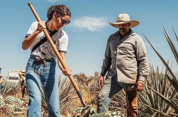 Private Tour to Distillery Tequila Ocho and Arandas - Who should consider this tour?