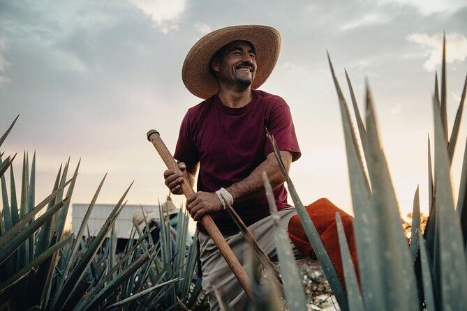 Private Tour to Distillery Tequila Ocho and Arandas - FAQ