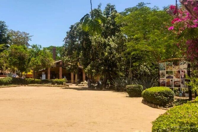 Private Tour to El Quelite Village and Tequila Distillery from Mazatlan - Journey Through Real Mexico: What the Tour Offers