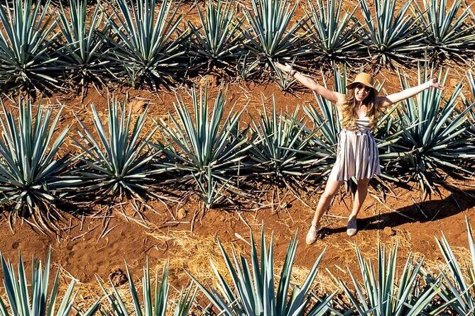 Private Tour to El Tequileño Distillery and visit to Tequila - An In-Depth Look at the Experience