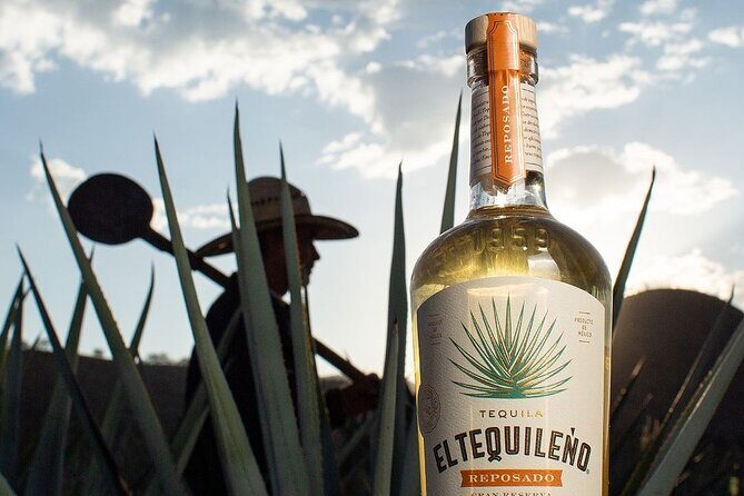 Private Tour to El Tequileño Distillery and visit to Tequila - Authentic Insights from Reviews