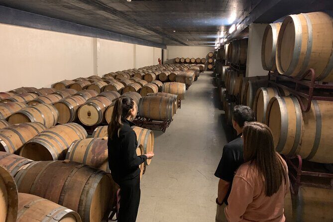 Private tour to Fatima, Nazare and Obidos - Final Thoughts