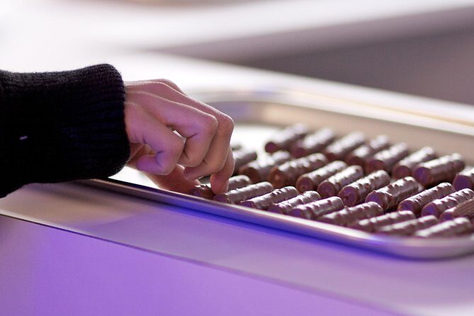 Private Tour to Gruyères, Chocolate & Cheese Factory from Geneva - Key Points