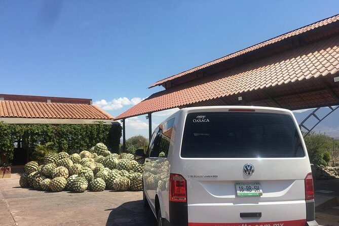 Private Tour to Hierve el Agua, Mezcal Tasting, and Textiles - Who Will Enjoy This Tour?