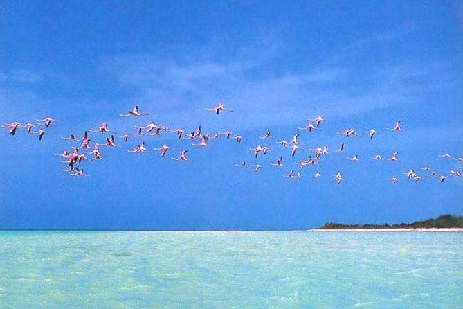 Private Tour To Holbox From Cancun - Exploring the Itinerary: What You Can Expect  