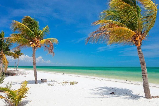Private Tour To Holbox From Cancun - Who Is This Tour Best For?  