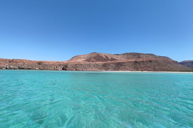 Private Tour to Isla Espiritu Santo and snorkel with sea lions - In-Depth Breakdown of the Itinerary