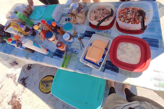 Private Tour to Isla Espiritu Santo and snorkel with sea lions - What Travelers Can Expect on the Water and Land