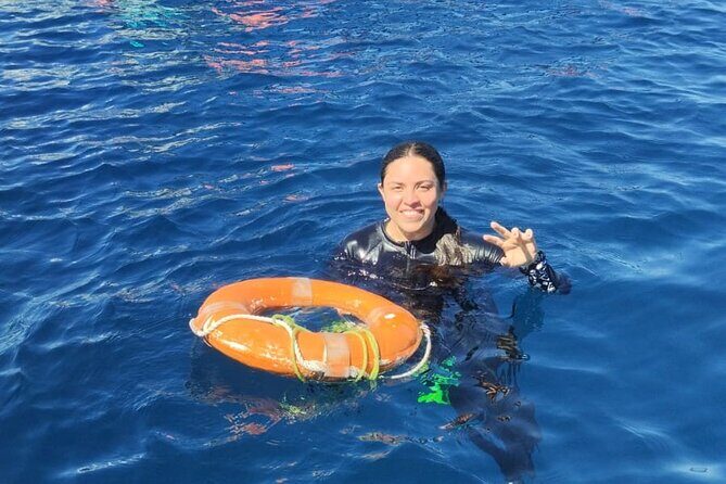 Private Tour to Isla Espiritu Santo and snorkel with sea lions - Value and Cost Analysis