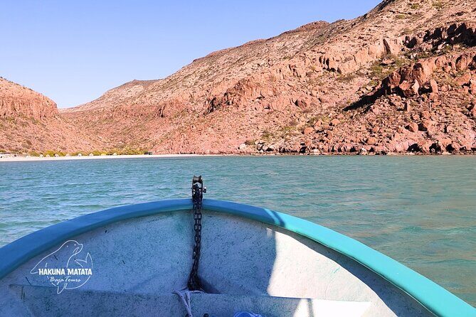 Private Tour to Isla Espiritu Santo and snorkel with sea lions - The Sum Up