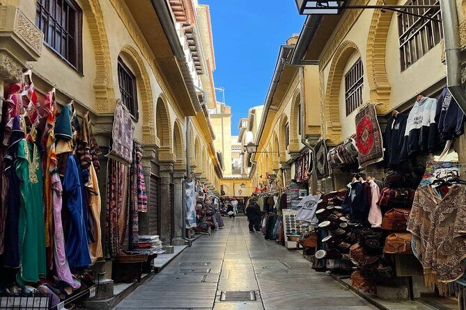 Private Tour to La Alhambra de Granada from Malaga - Who Is This Tour Best Suited For?