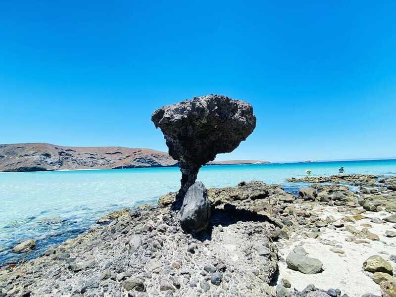 Private tour to La Paz, Balandra and Todos Santos from CABO - Final Thoughts