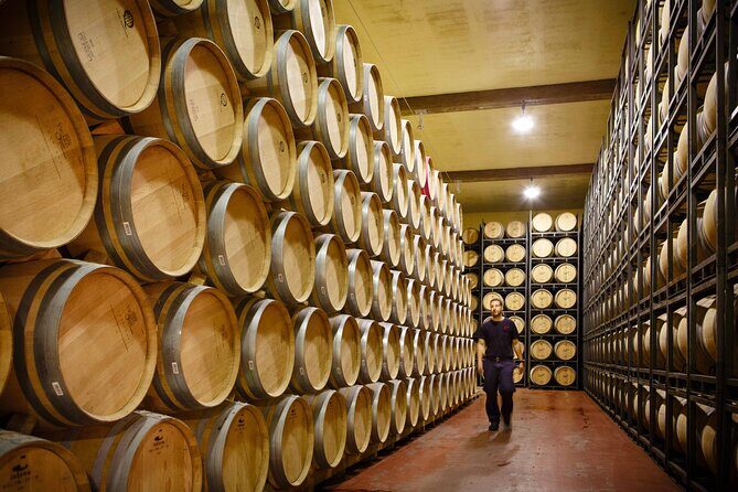 Private tour to La Rioja : Visit 2 premium wineries with lunch - Exploring the Best of La Rioja on a Private Winery Tour from Bilbao