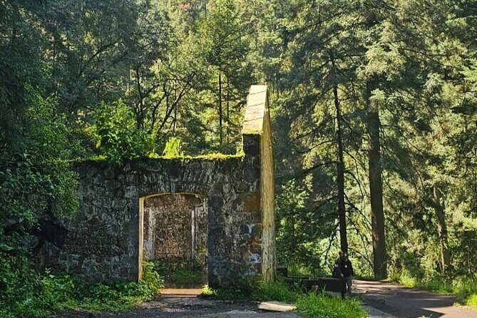 Private Tour to Los Diamantes Waterfall from CDMX - The Sum Up