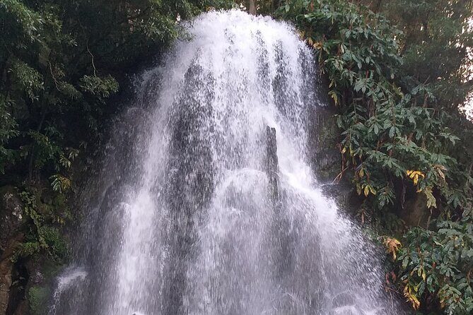 Private Tour to Nordeste area and Waterfalls - What Makes This Tour Stand Out?