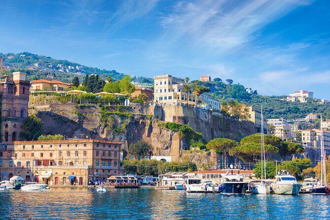 Private Tour to Pompei Sorrento and Positano with English speaking Driver/Guide - In-Depth Look at the Tour