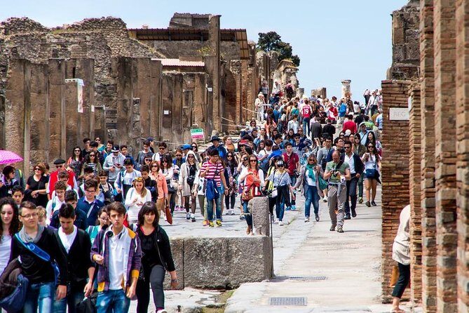 Private tour to Pompeii Herculaneum and Vesuvius - Key Points