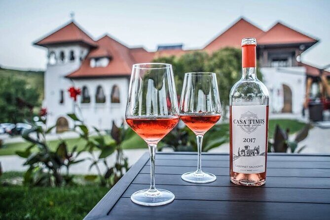 Private Tour to Salt Mine, Lunch at Winery and Dracula Grave - Insights from Reviews & Guides