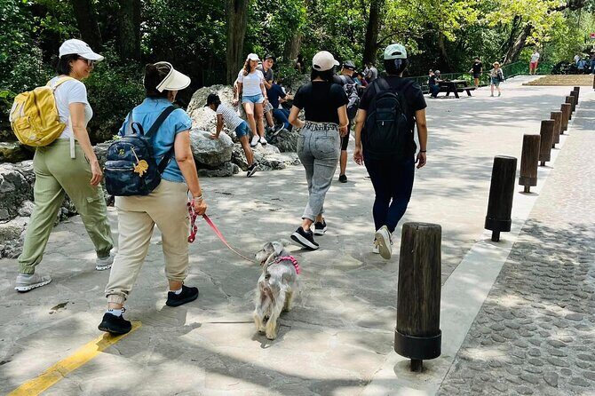 Private Tour to Santiago + Guide + Transfer - What’s included and what’s not