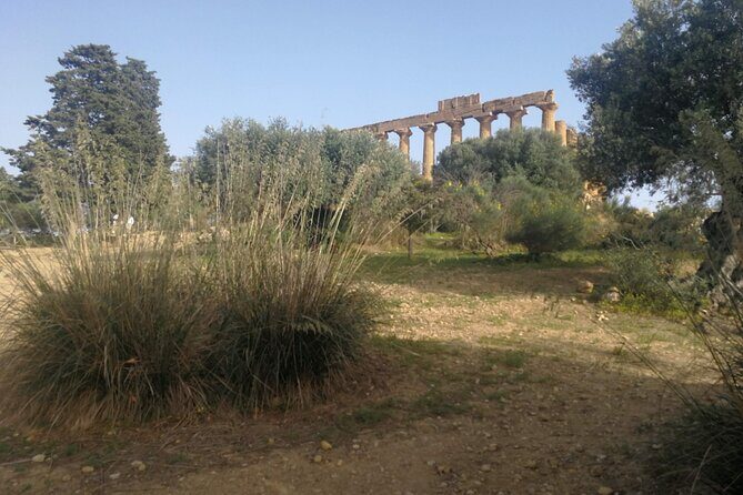 Private Tour to Segesta, Erice and Wine Tasting in Marsala - An In-Depth Look at the Tour Experience