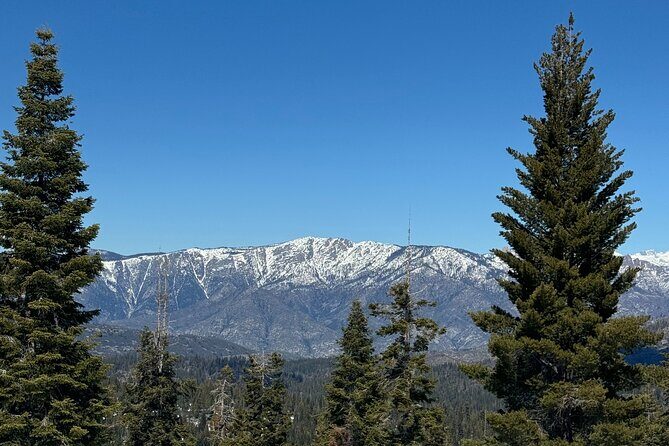 Private Tour to Sequoia and Kings Canyon National Parks - What Makes This Tour a Good Value?