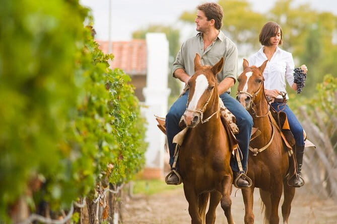 Private Tour to Siena and Montalcino from Florence - Final Thoughts