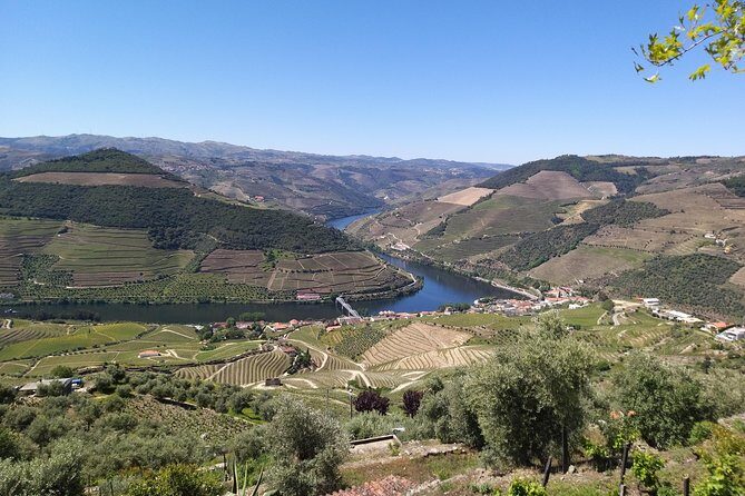 Private Tour to stunning Douro Valley and most renowned wineries - Key Points