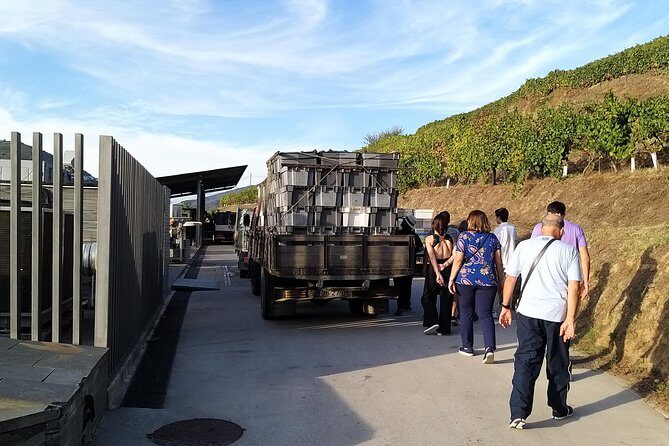 Private Tour to stunning Douro Valley and most renowned wineries - FAQs