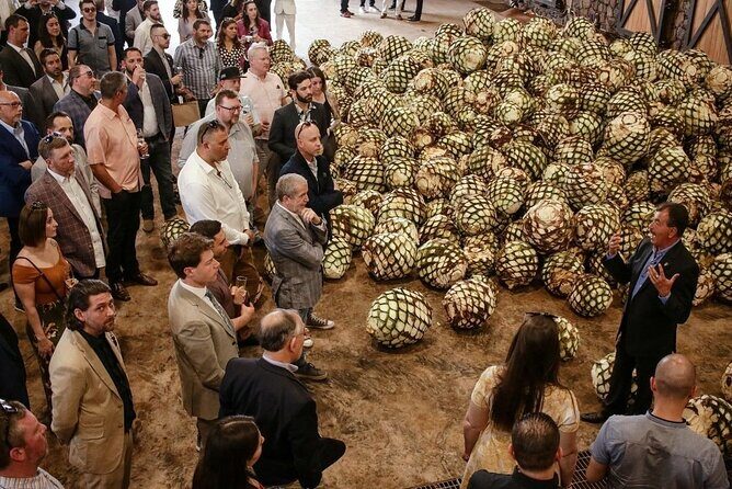 Private Tour to Tequila Ocho Distillery and the Town of Arandas - Authentic Feedback from Past Travelers