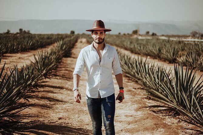 Private Tour to Tequila with tasting, liquors and visits. - Key Points