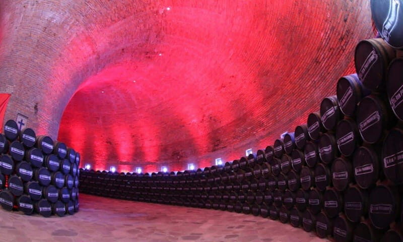 Private Tour to Tequilera Corralejo and Piramides Zone - An In-Depth Look at the Tour Experience  