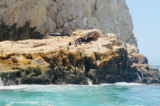 Private Tour to the Arch of Cabo San Lucas by Glass Bottom Boat - Who Is This Tour Best For?