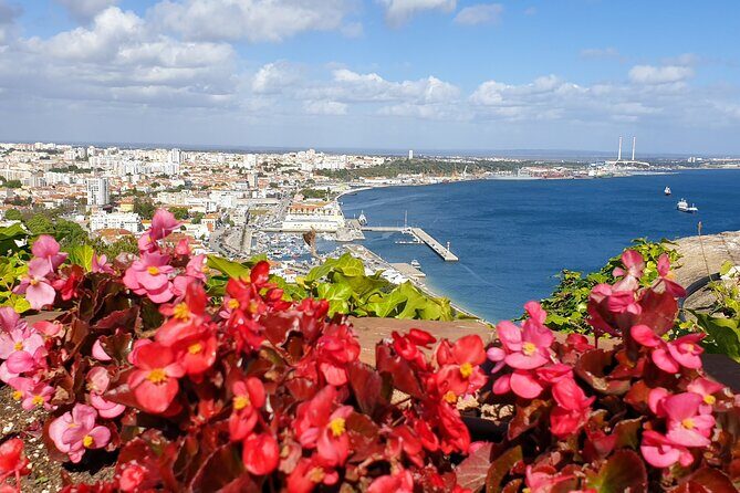 Private Tour to the Christ King and Arrábida - The Sum Up